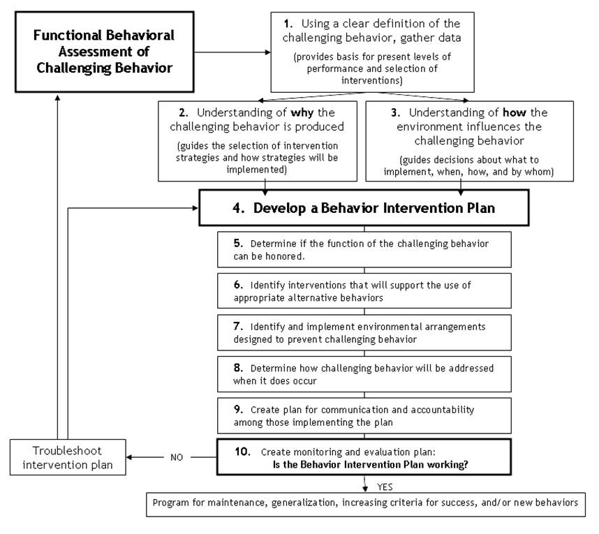 Behavior Intervention Plan Template Template Business