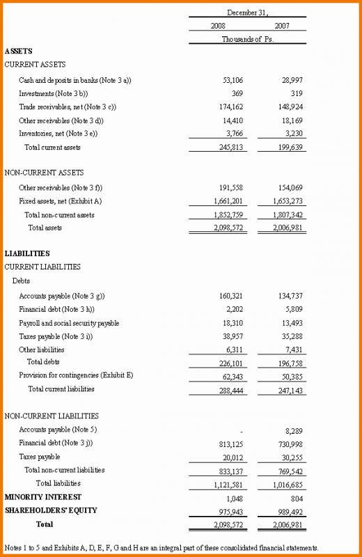 Example Of A Balance Sheet Template Business