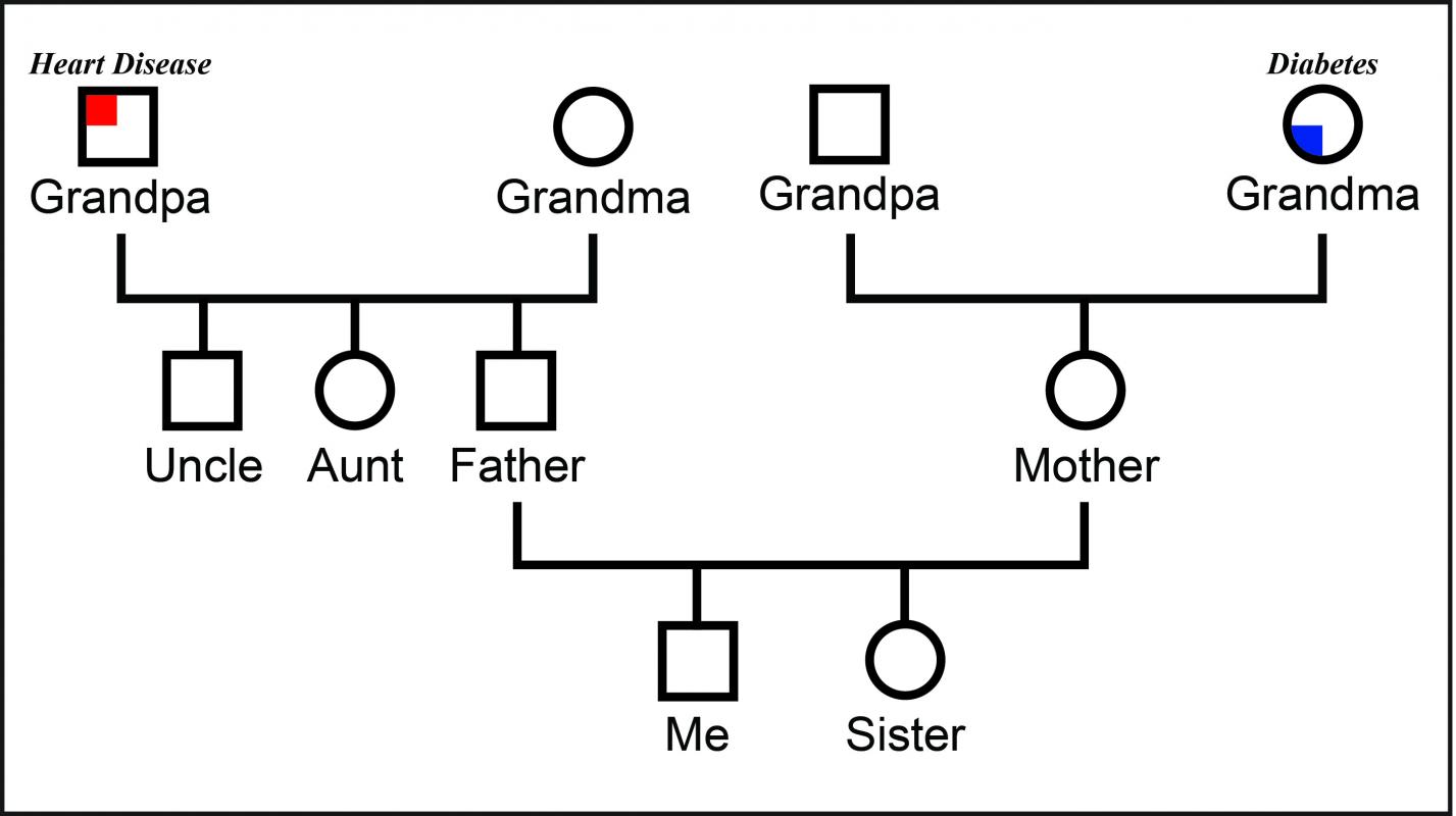 Example Of Genogram Template Business