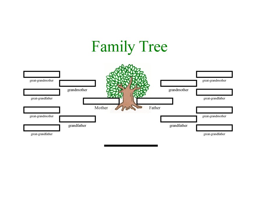 Family Tree Template Word Template Business