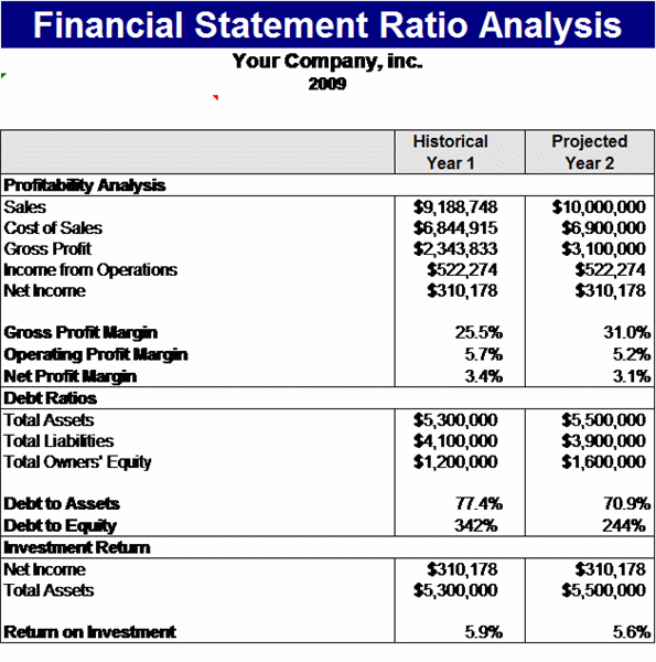 Financial Statements Templates Template Business