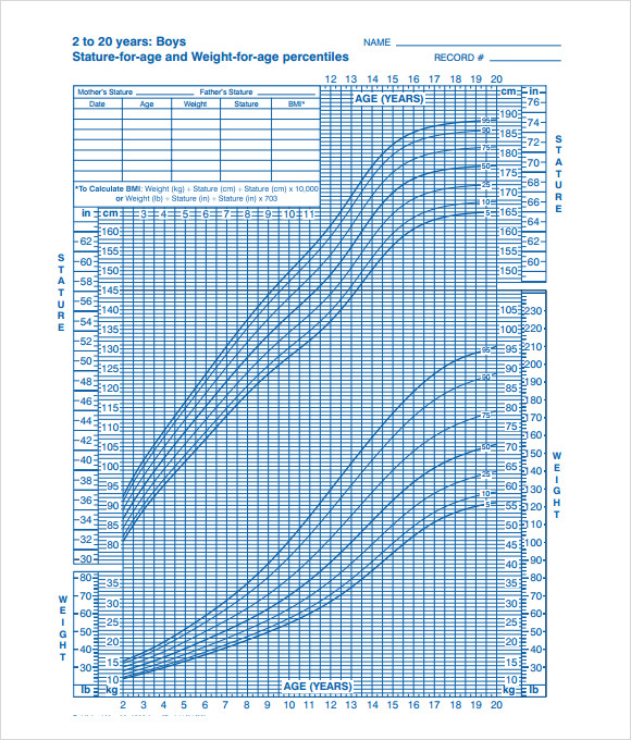 Infant Growth Chart Boy Template Business Infant Growth Chart Boy Template Business