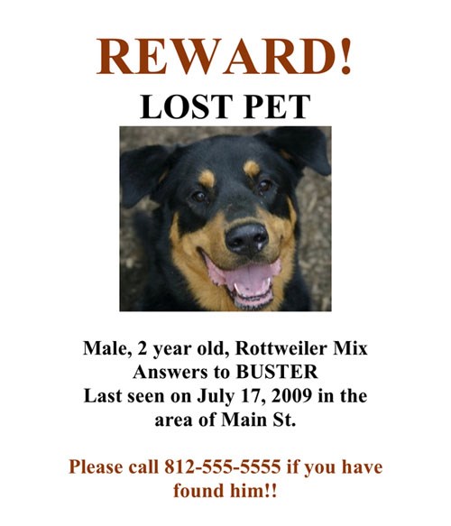 Lost Dog Template Template Business