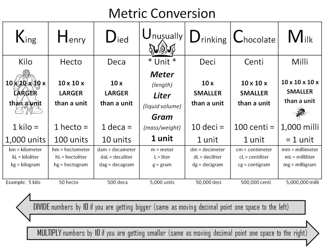 Meter Conversion Chart Template Business