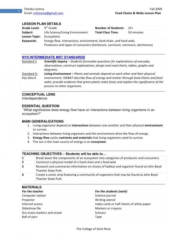 Siop Lesson Plan Examples Template Business